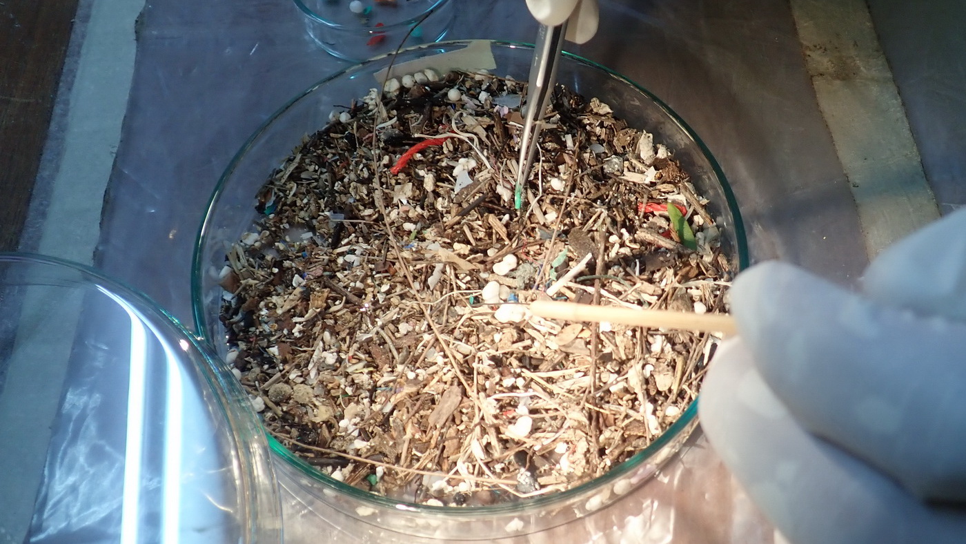 Technical Cooperation on Marine Debris and Microplastic Monitoring and ...